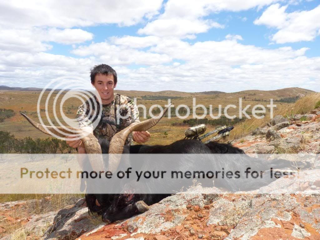 Billy goat Hunt (pic heavy) | Archery Talk Forum