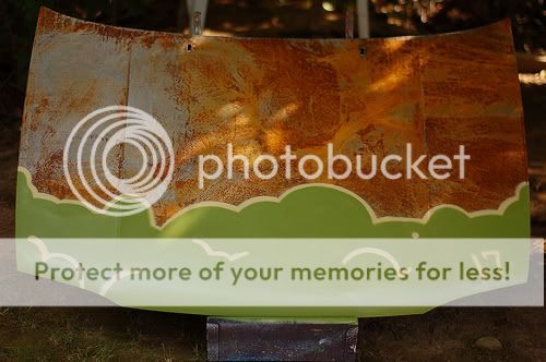 Rusted Hood? | VW Vortex - Volkswagen Forum