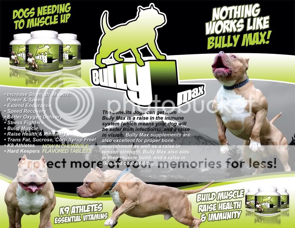 Bully max | Go Pitbull Forums