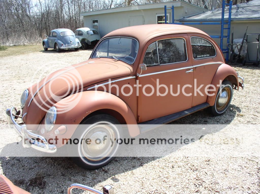 TheSamba.com :: Beetle - Oval-Window - 1953-57 - View topic - Barn Find ...